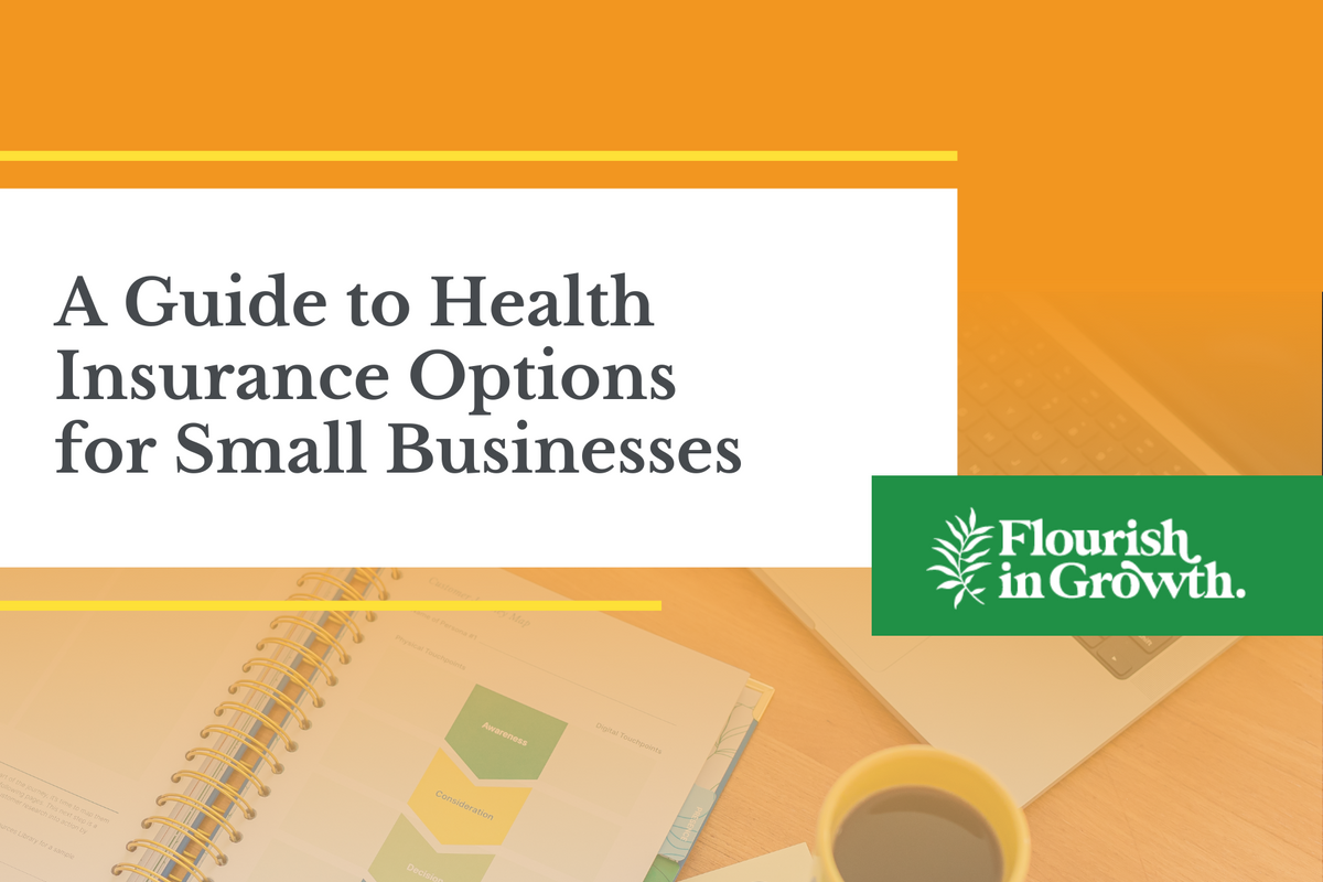 A Guide to Health Insurance Options | Flourish In Growth